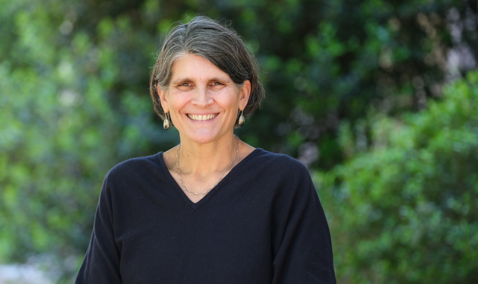 Jill V. Hamm to serve as interim dean - UNC School of Education